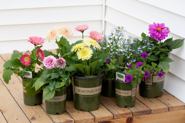 5 Easy Farmhouse Planter Ideas - Hello Farmhouse